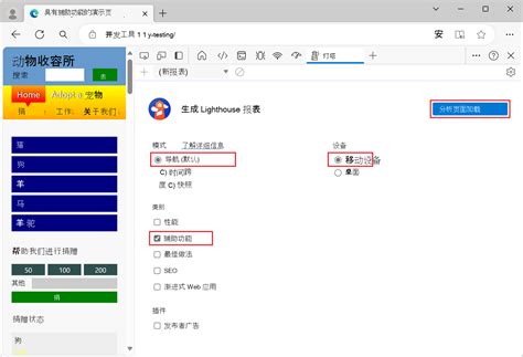 使用 Lighthouse 测试辅助功能 Microsoft Edge Developer Documentation Microsoft Learn