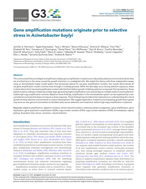 Pdf Gene Amplification Mutations Originate Prior To Selective Stress
