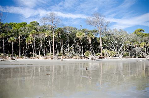 Hunting Island State Park Sc Flickr
