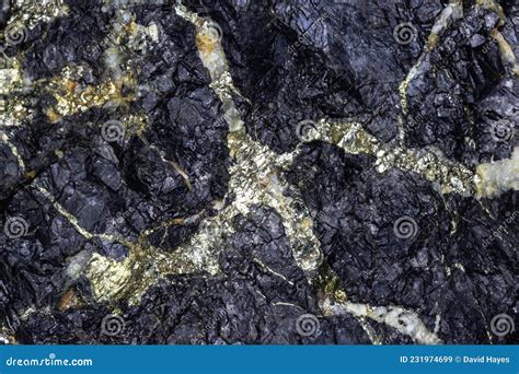 Golden Iron Pyrite In Bed Of Black Lead Ore Stock Image Image Of