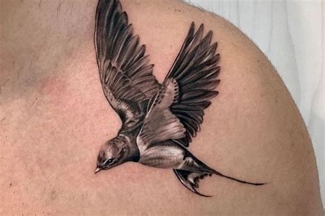 Top Tatuajes De Golondrina Significado And Diseños And Ideas Vean Tattoo