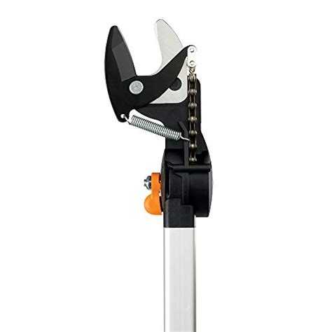 The Best Extendable Tree Pruners For 2024 Minneopa Orchards