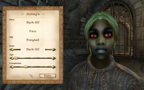 First Time Playing Oblivion Heres My Character R Oblivion