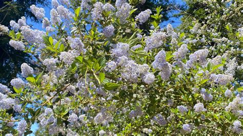 Maggiebcaputo Maggie Caputo Profile Pinterest