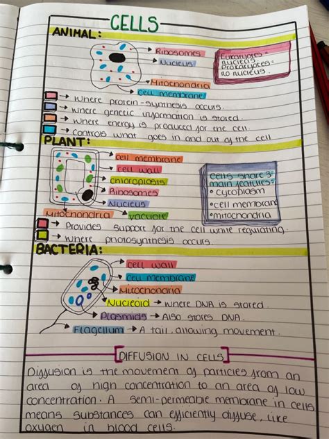 Aesthetic Revision Science Notes Study Flashcards Nurse Study Notes