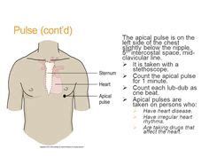 19 Best Apical Pulse Images Apical Pulse Nursing Assessment Nclex