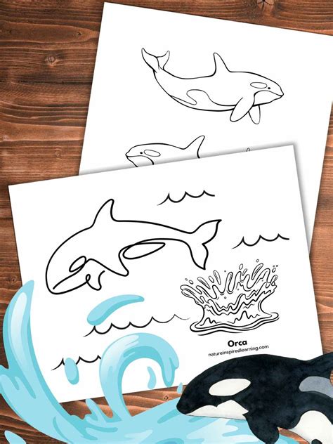 Orca Coloring Pages Printable