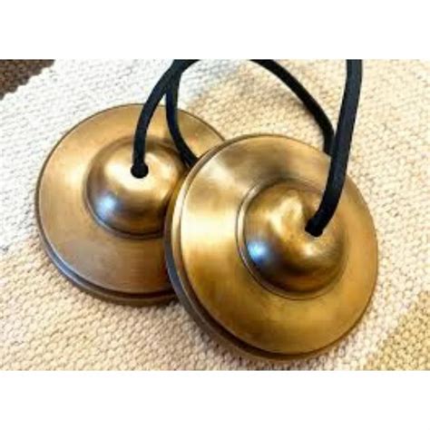 Brass Percussion Instruments From Cajons To Congas At ₹ 10000 In New Delhi