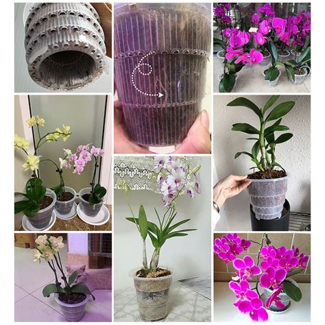 Resin Mesh Pot Root Control Orchid Flower Transpar Vicedeal