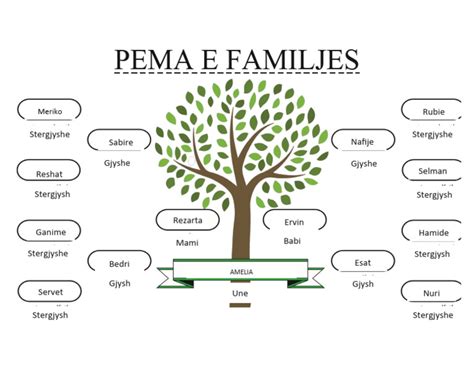 Pema E Familjes Stergjyshe Gjyshe Sabire Gjyshe Nafije Selman Rubie Pdf
