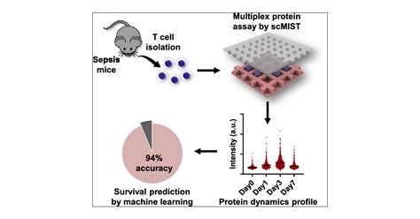 Rapid High Throughput Single Cell Multiplex In Situ Tagging Mist Analysis Of Immunological