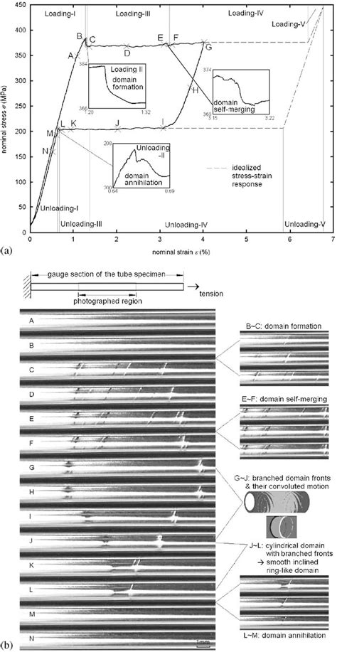 Figure 2 From Experimental Investigation On Macroscopic Domain
