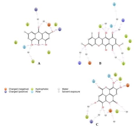 A Schematic Of Detailed Ligand Atom Interactions With The Protein