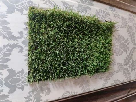 Pe Artificial Grass Patch For Outdoor At ₹ 220 Sq Ft In Kanpur Id 25597235133