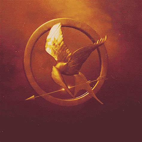 The Hunger Games Mockingjay  Wiffle