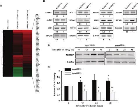 Cdna Microarray Analysis Of The Expression Profiles Of Download Scientific Diagram