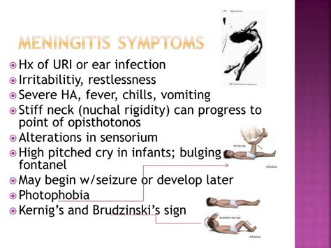 Ppt Meningitis And Seizure Disorders Powerpoint Presentation Free