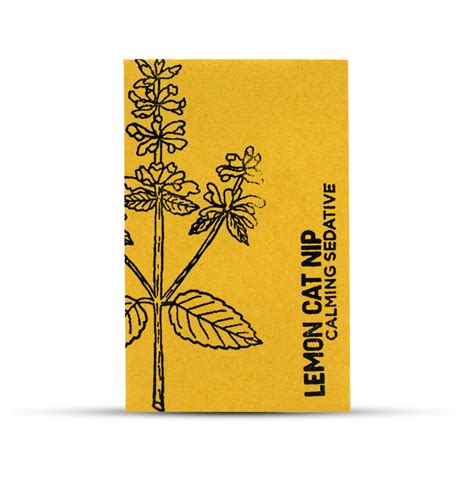Lemon Catnip Seed Sativa Valley Essentials