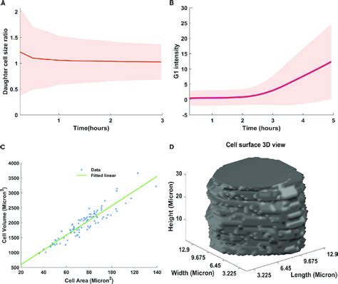 Stem Cell Feature Analysis A Cell Size Ratio Graph Of Daughter Cell Download Scientific