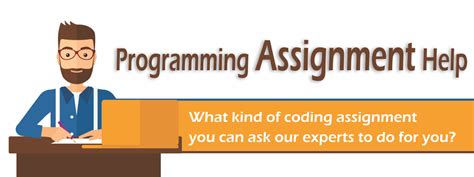Programming Assignment Help Online Programming Homework Help