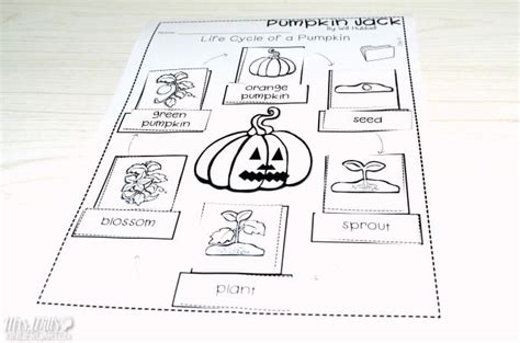 Pumpkin Jack Lesson Plans Lesson Plans For Kindergarten And First Grade