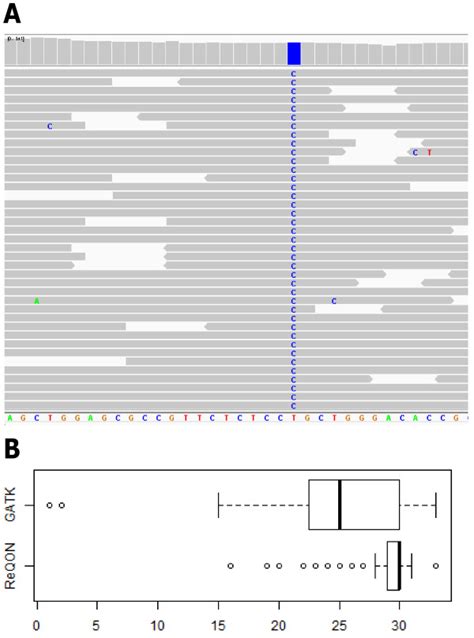 Sequencing Error Examples At Mikayla Raggatt Blog