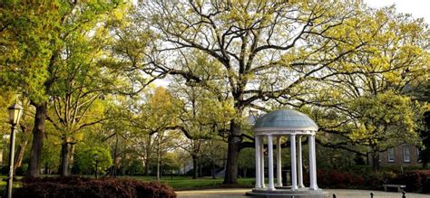 Hello Colleagues I Am Excited To Announce An Incredible Professional Opportunity At Unc Chapel