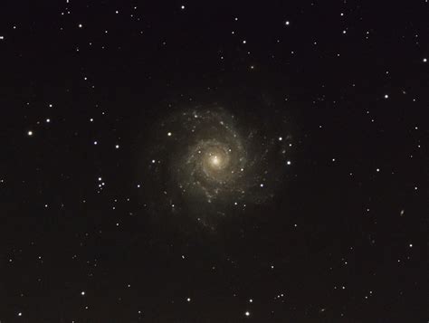 Celestron Nightscape 8300 Ccd Camera Now Shipping Photo Rumors