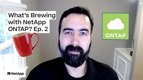 what does netapp ontap actually do netapp tv