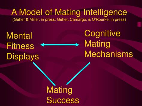 Ppt Knowing The Desires Of Potential Sex Partners A Slice Of Mating