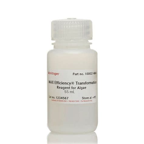 31120 Max Efficency Transformation Reagent For Algae 40 Reactions Inv