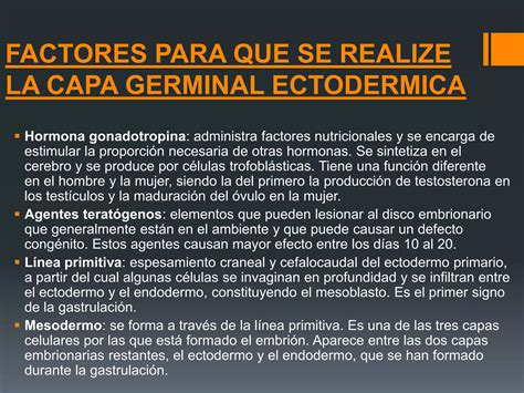 Derivados De La Capa Germinal Ectodermica Pptx