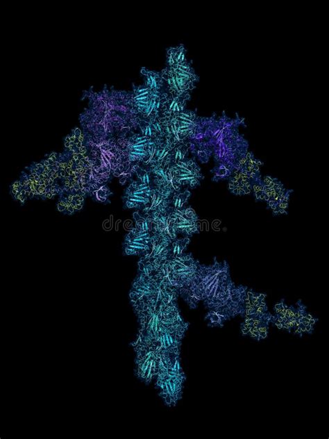 Actin Myosin Complex Stock Illustration Illustration Of Metabolism 96097605