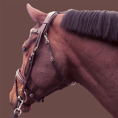 Bridon Code 01 Silver Crown — Spécialiste De Léquipement Déquitation