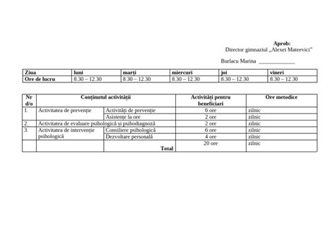Exemplu De Program De Lucru Pdf