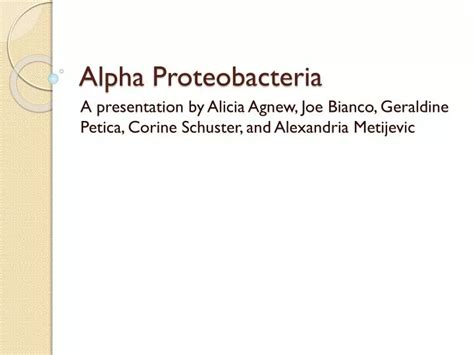Ppt Alpha Proteobacteria Powerpoint Presentation Free Download Id 363410