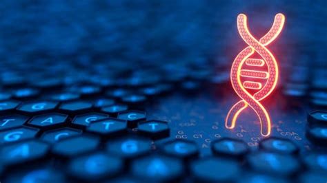 Enhancing Target Capture Techniques In Long Read Sequencing