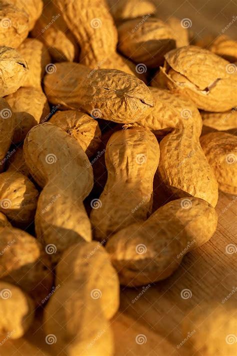 Peanuts In Shells Roasted In The Shell Peanuts Stock Image Image Of Healthy Nutrition 225366691