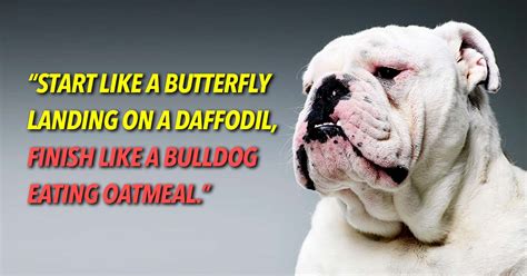 Women Give Tips For Amazing Cunnilingus