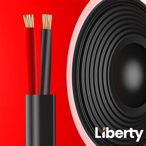 Mario Armijo On Linkedin Libav