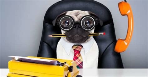 5 Call Center Agent Performance Metrics You Need Today