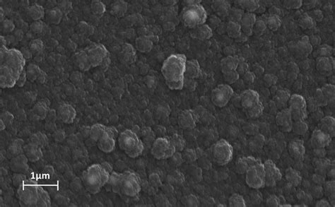 Sem Images Showing Examples Of The Kinds Of Structures Produced Download Scientific Diagram