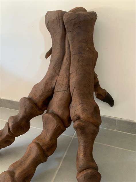 Pied De Tyrannosaurus T Rex Replica Museum Quality Replica Fossil Ebay