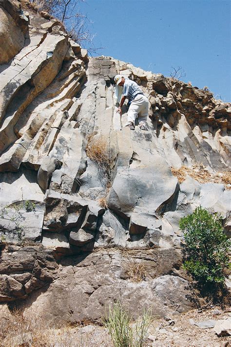 B44 Chororapithecus Abyssinicus B44 Chororapithecus Abyssinicus