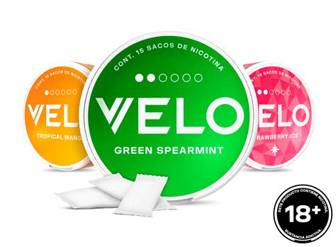 Descubre Qué Velo Es Para Ti