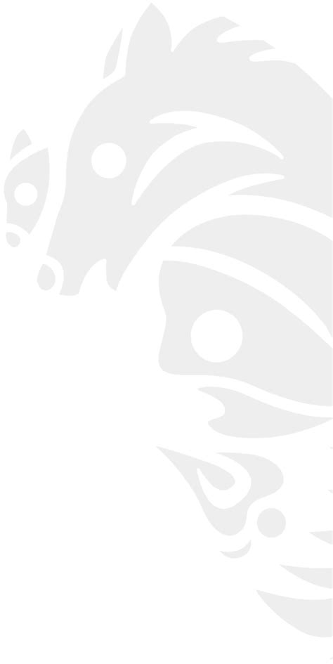 Indigenous Youth Mentorship Program