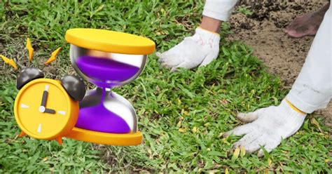 What Happens When You Plant Grass Seed Too Early Lawnal