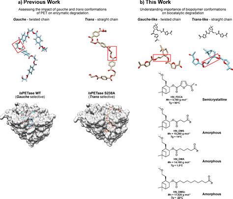 Conformational Selection In Enzyme‐catalyzed Depolymerization Of Bio‐based Polyesters Lopez
