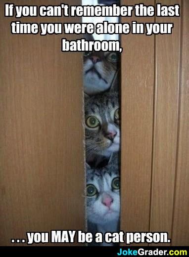 Beth Hersman Khalaf Bethkhalaf Profile Pinterest