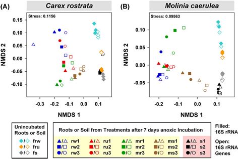 Nmds Analyses Of The Prokaryotic Community Of C Rostrata A Or M